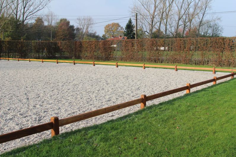 What Are the Requirements for a Dressage Arena? - Nortons Fencing