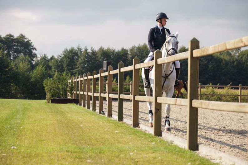 Equestrian Fencing: What is the Best Fencing for Horses? - Nortons Fencing