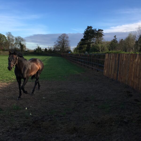 Traditional Paddock Fencing - Nortons Fencing