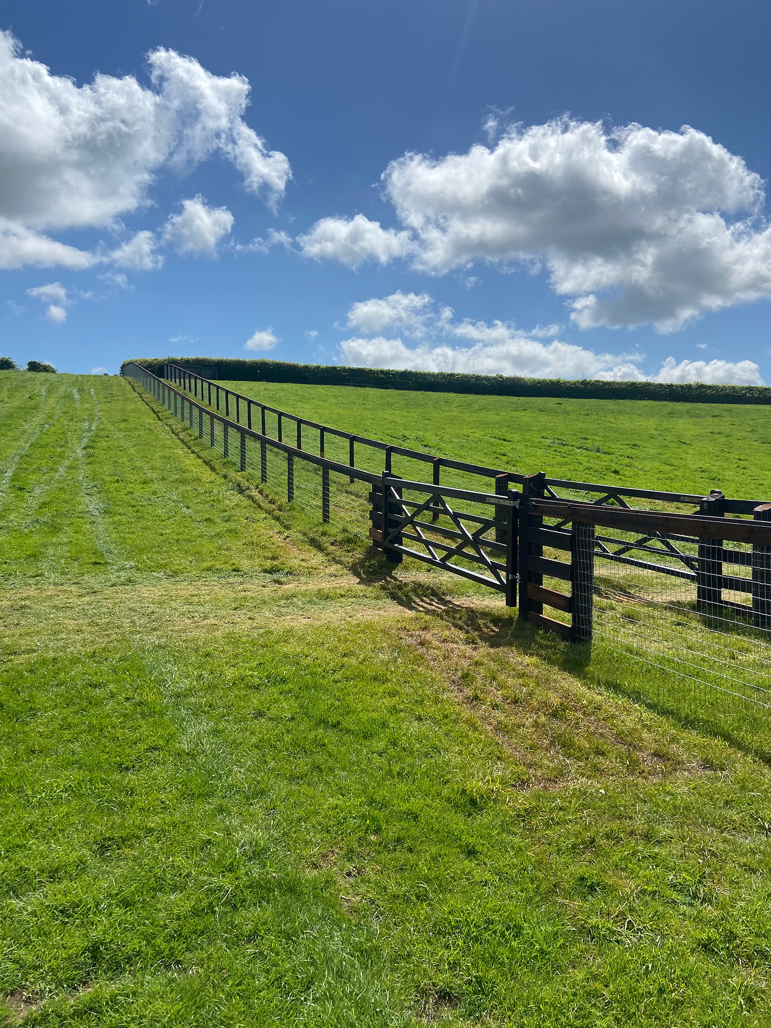 What All Weather Footing is Best for Horse Paddocks - Nortons Fencing