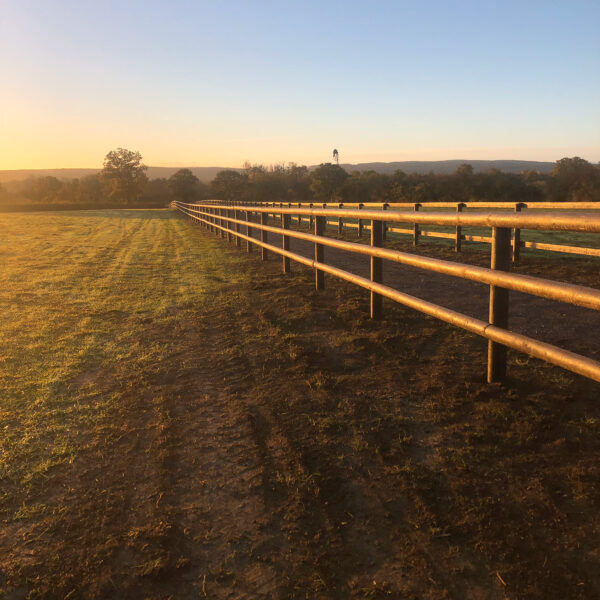 Traditional Paddock Fencing - Nortons Fencing