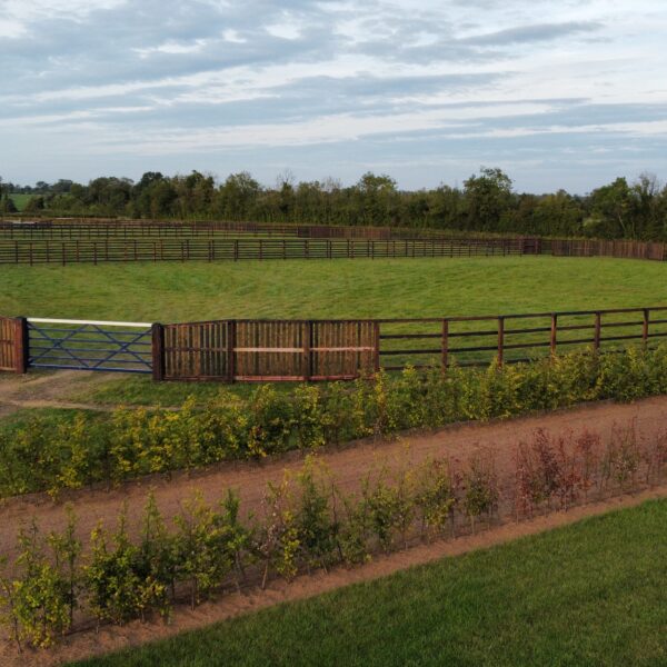 Traditional Paddock Fencing - Nortons Fencing